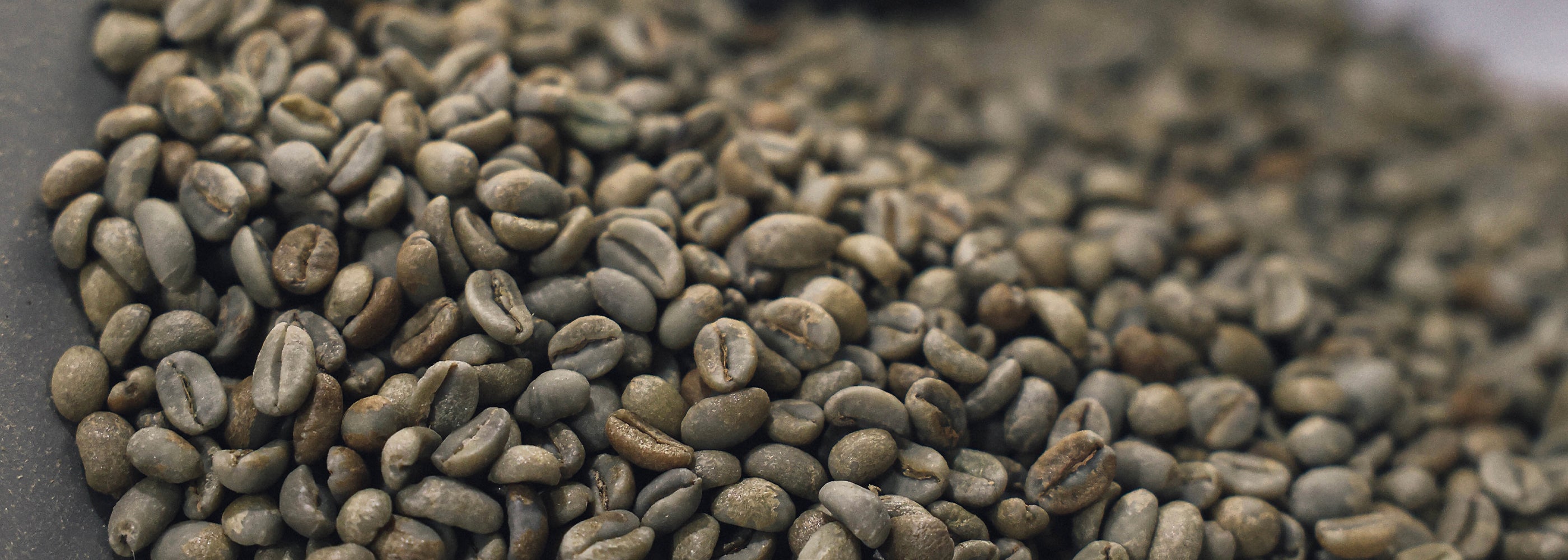 Lab 19 Coffee Roasting